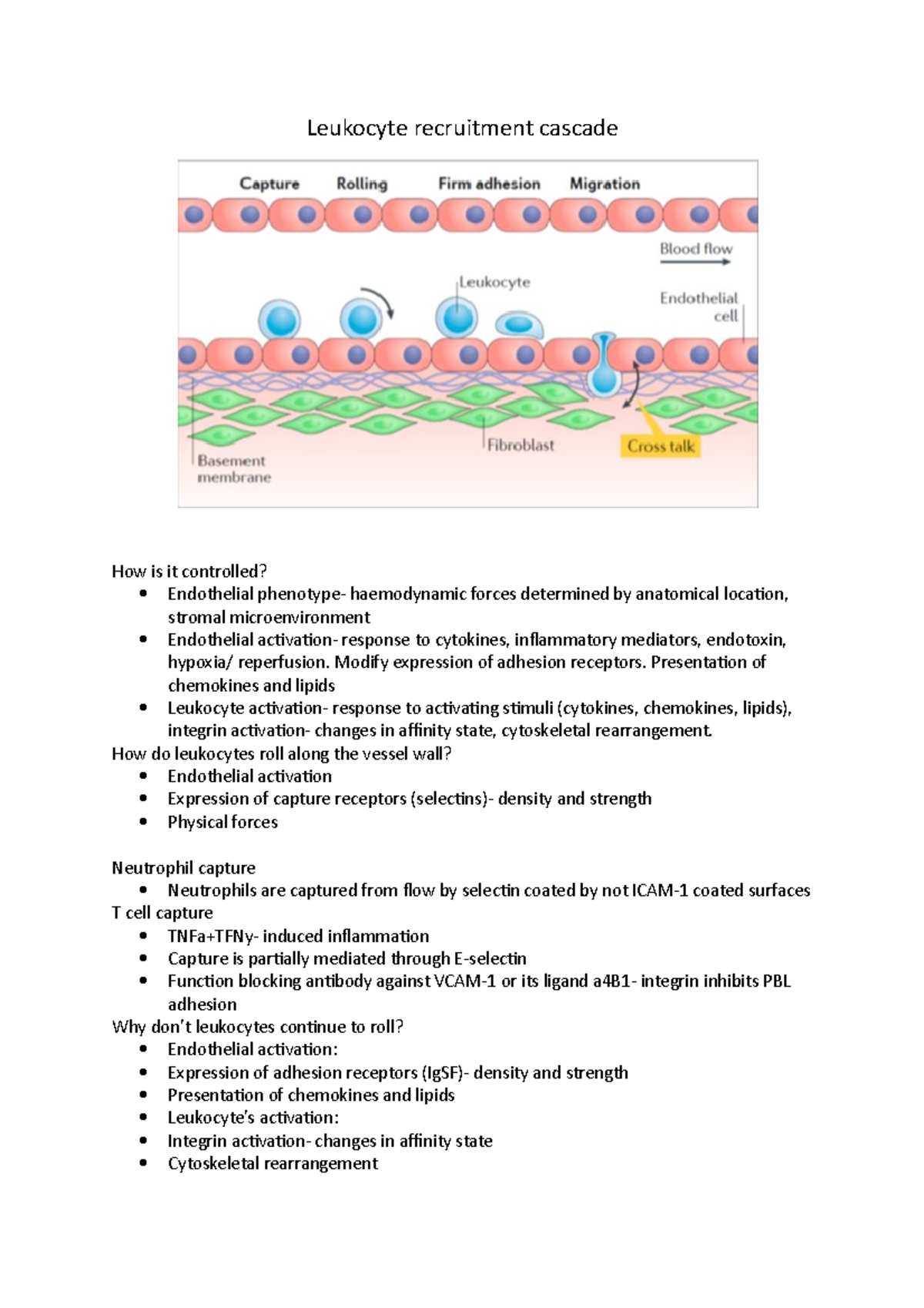 Leukocyte recruitment cascade - Modify expression of adhesion receptors. Presentation of ...