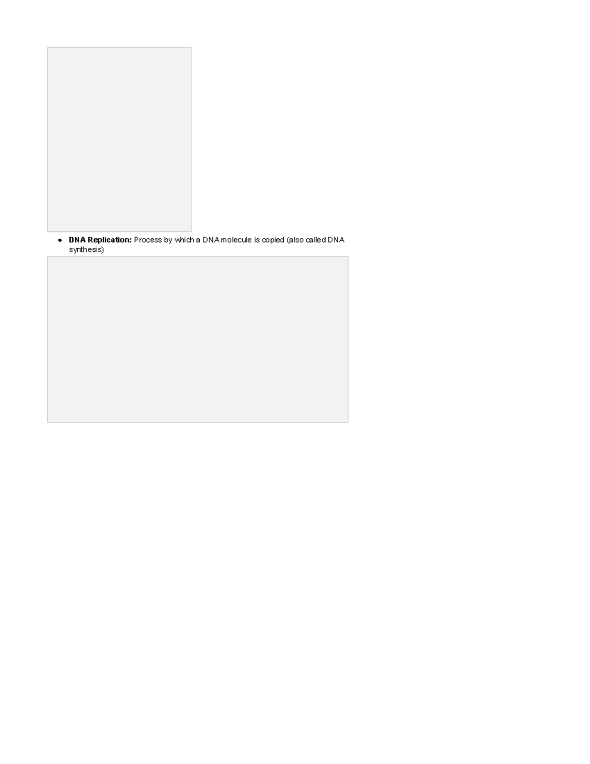 Chapter 16 DNA Replication - DNA Replication: Process by which a DNA molecule is copied (also ...