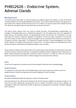 Structure and Function of Brainstem - Studocu