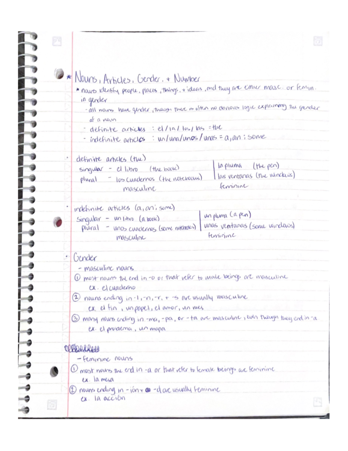 Nouns, articles, gender, and number - SPAN1001 - Studocu