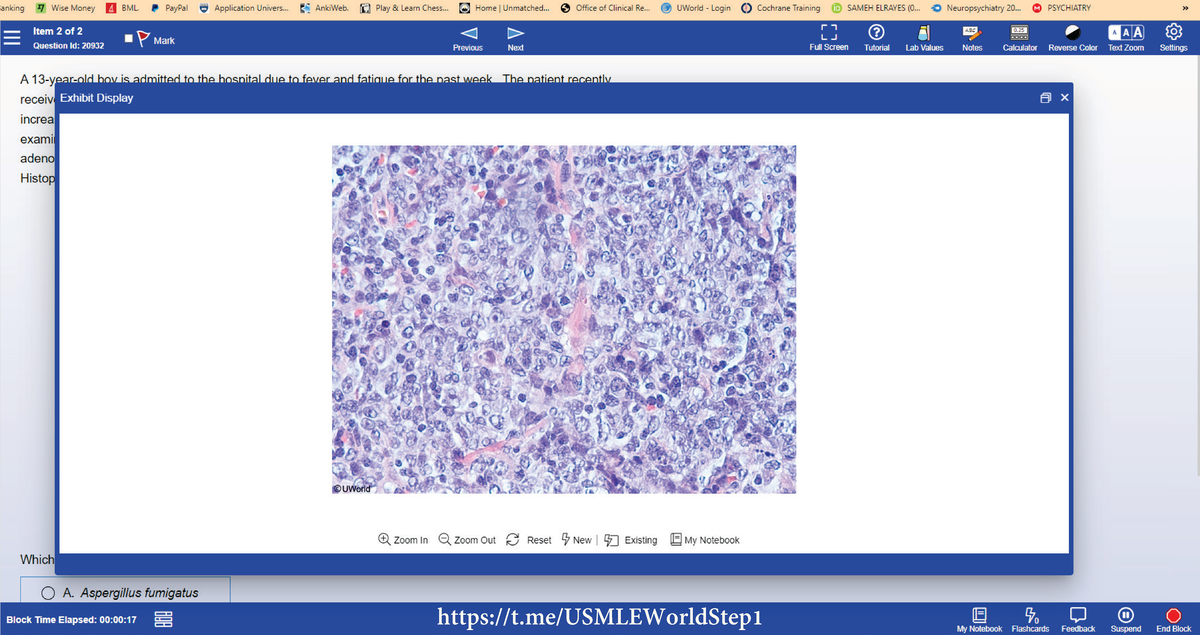 [Medicalstudyzone.com] UW 2024 - Pathology (General Principles) - block ...