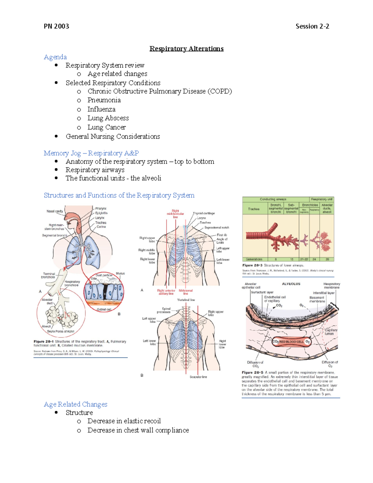 Pn 2003 resp 2-2 - RESP SUMMERY - Respiratory Alterations Agenda ...