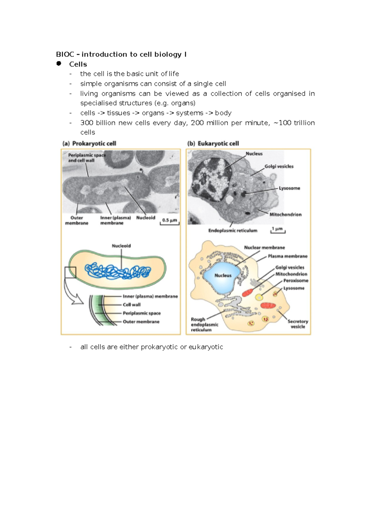 BIOC0001 – introduction to cell biology I - organs) - cells -> tissues ...