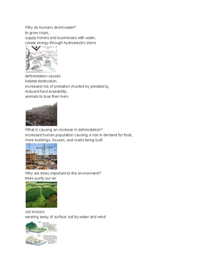 Why are worms beneficial for the environment - How can we send less ...