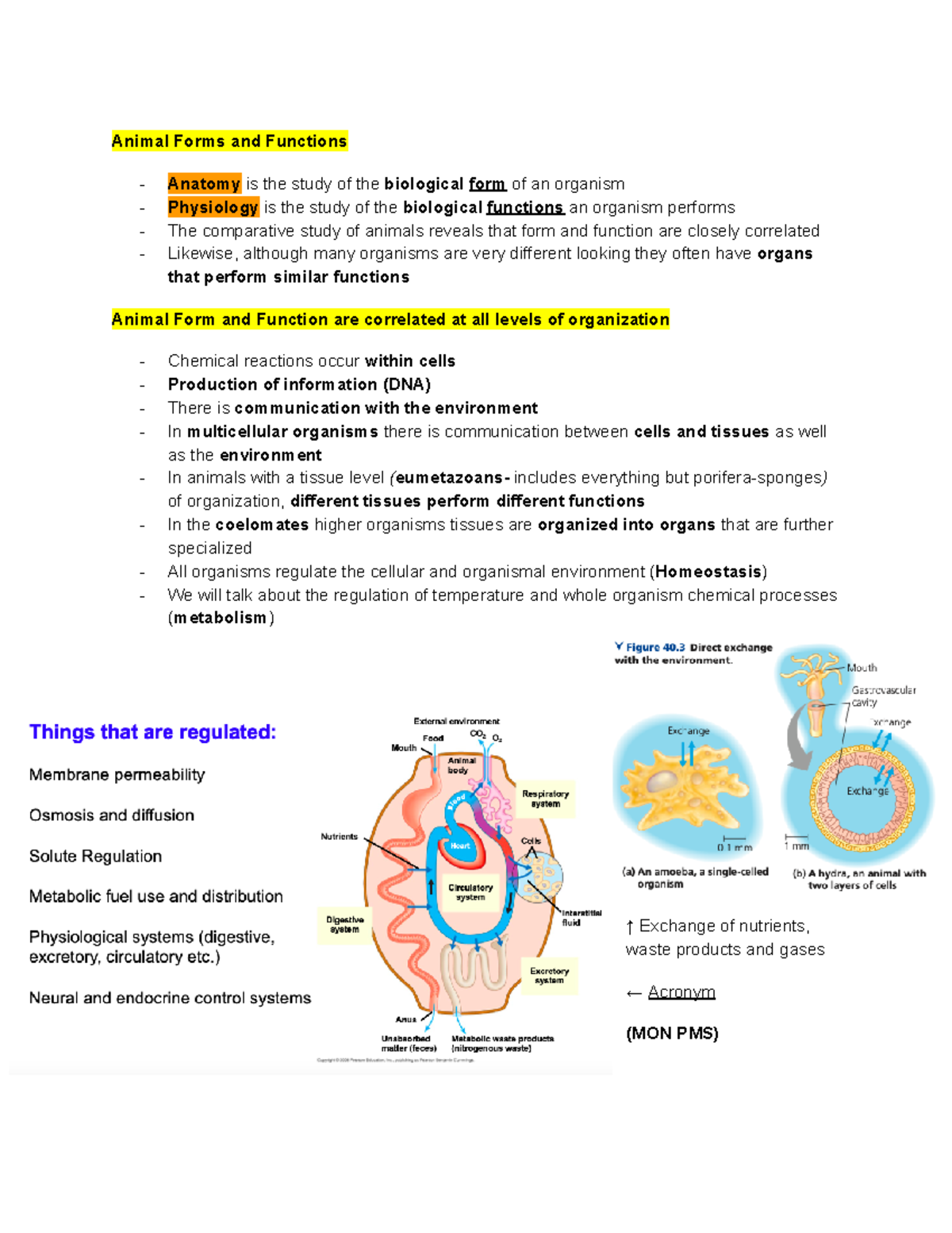M2 Lec 9 & 10(Animal form & Function) - Animal Forms and Functions ...