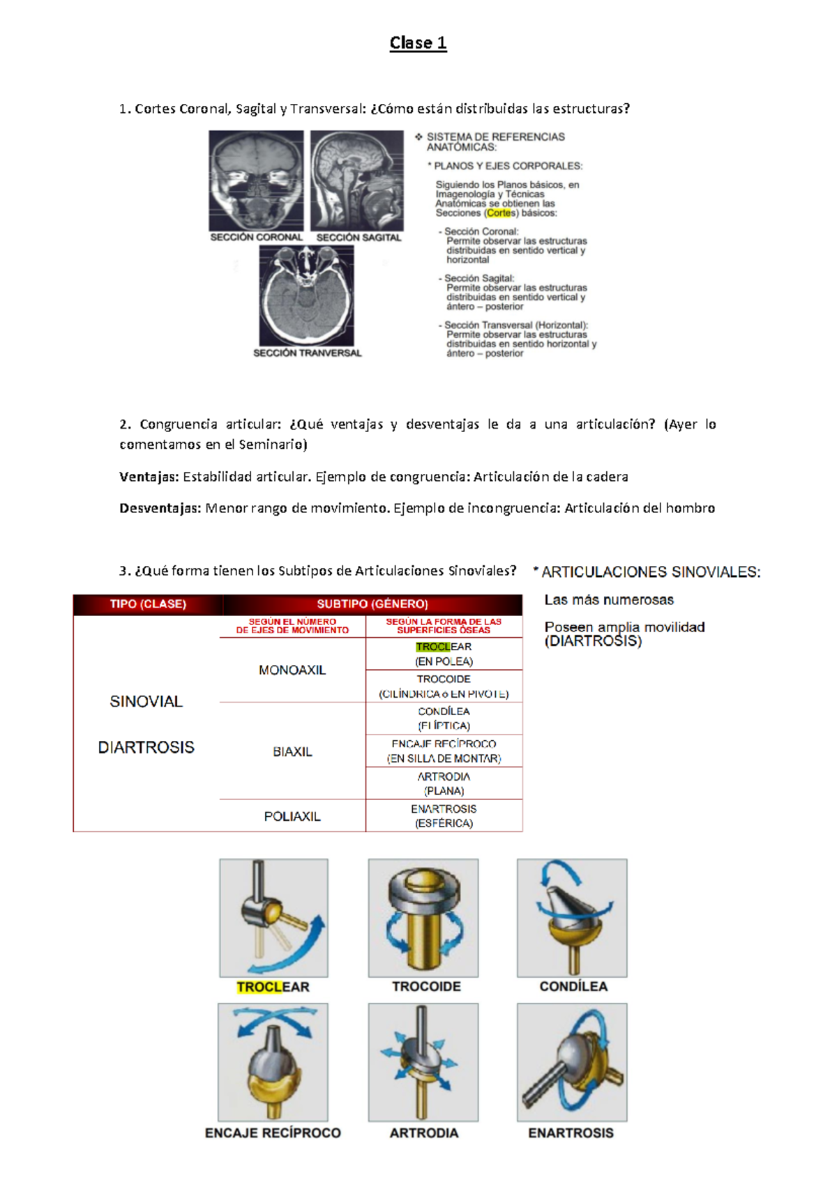Teorico Anatomia - Cortes Coronal, Sagital y Transversal: ¿Cómo están ...
