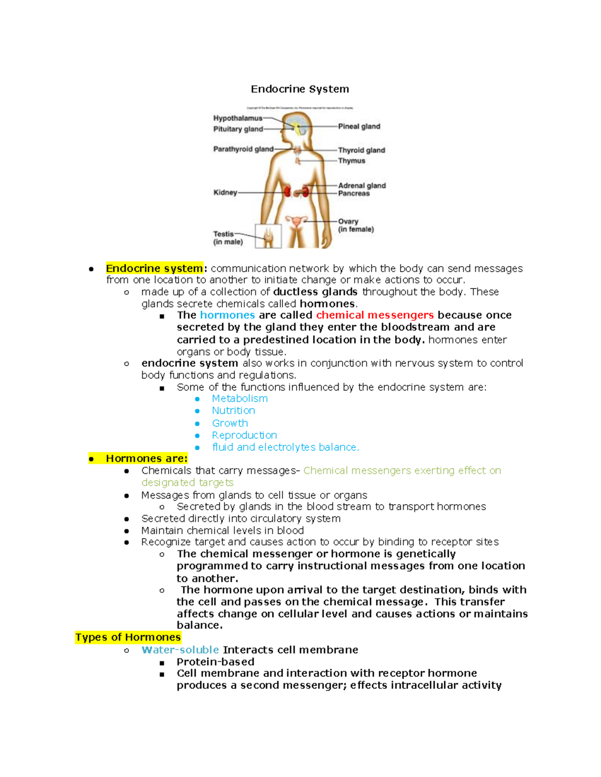 EXAM 5 - personalized notes - Endocrine System Endocrine system ...