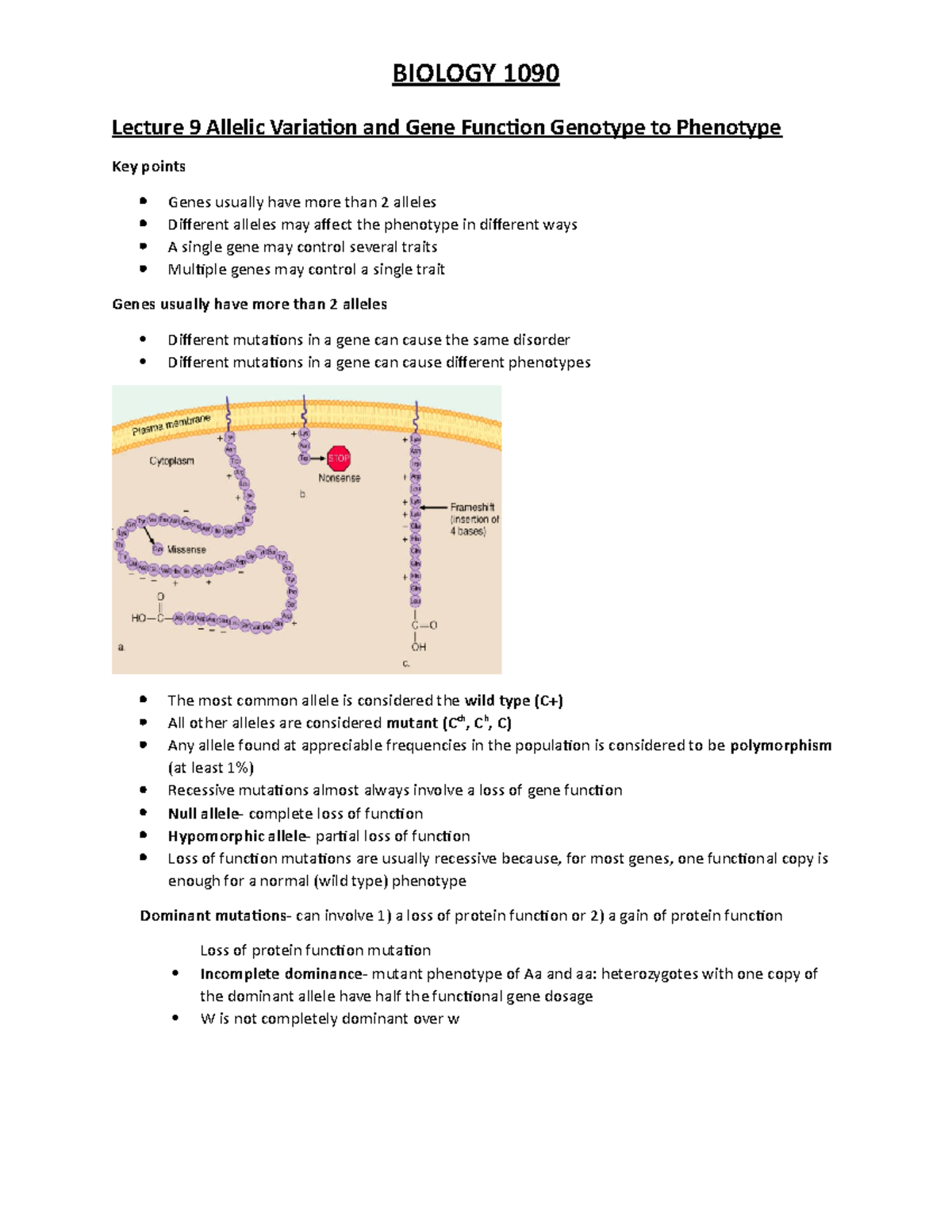 Lecture 9 Allelic Variation and Gene Function Genotype to Phenotype ...