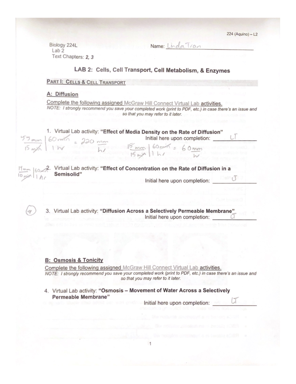 224-Aquino-L2 - Second lab handout worksheet of the year. - BIOL 224L ...