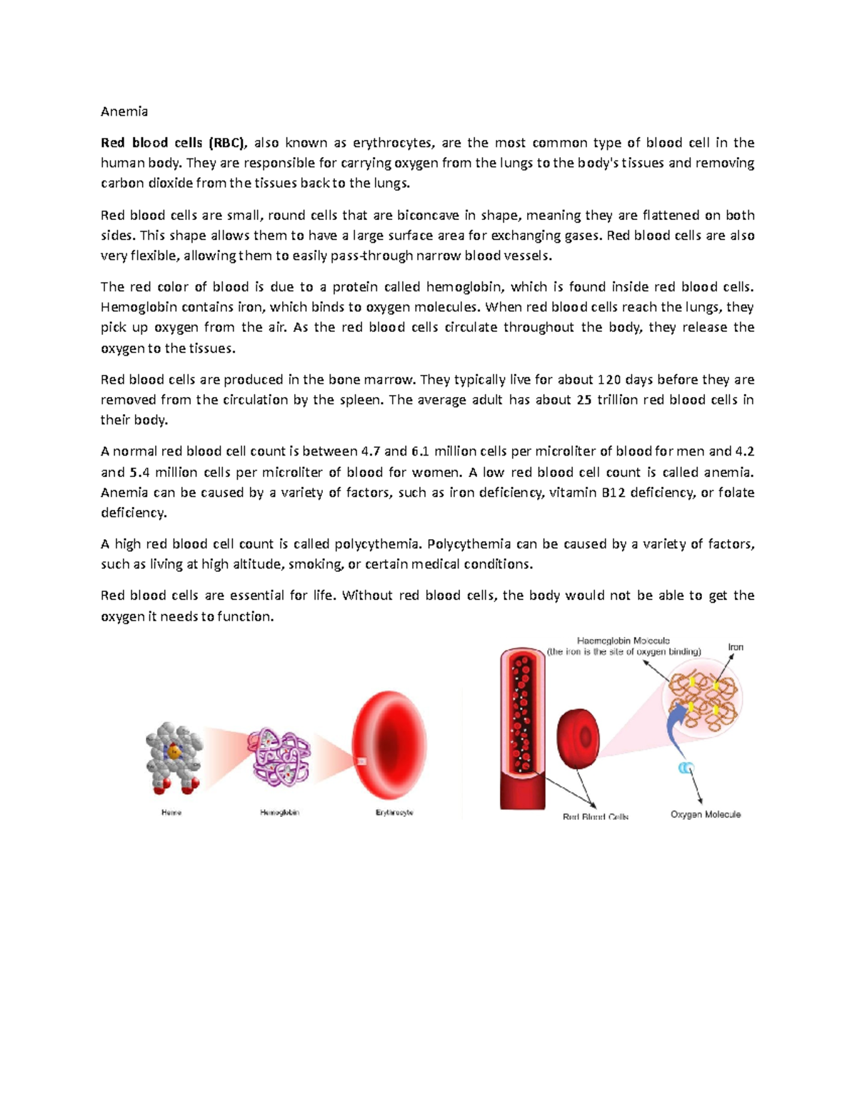 Anemia 2 - Anemia Red blood cells (RBC), also known as erythrocytes ...
