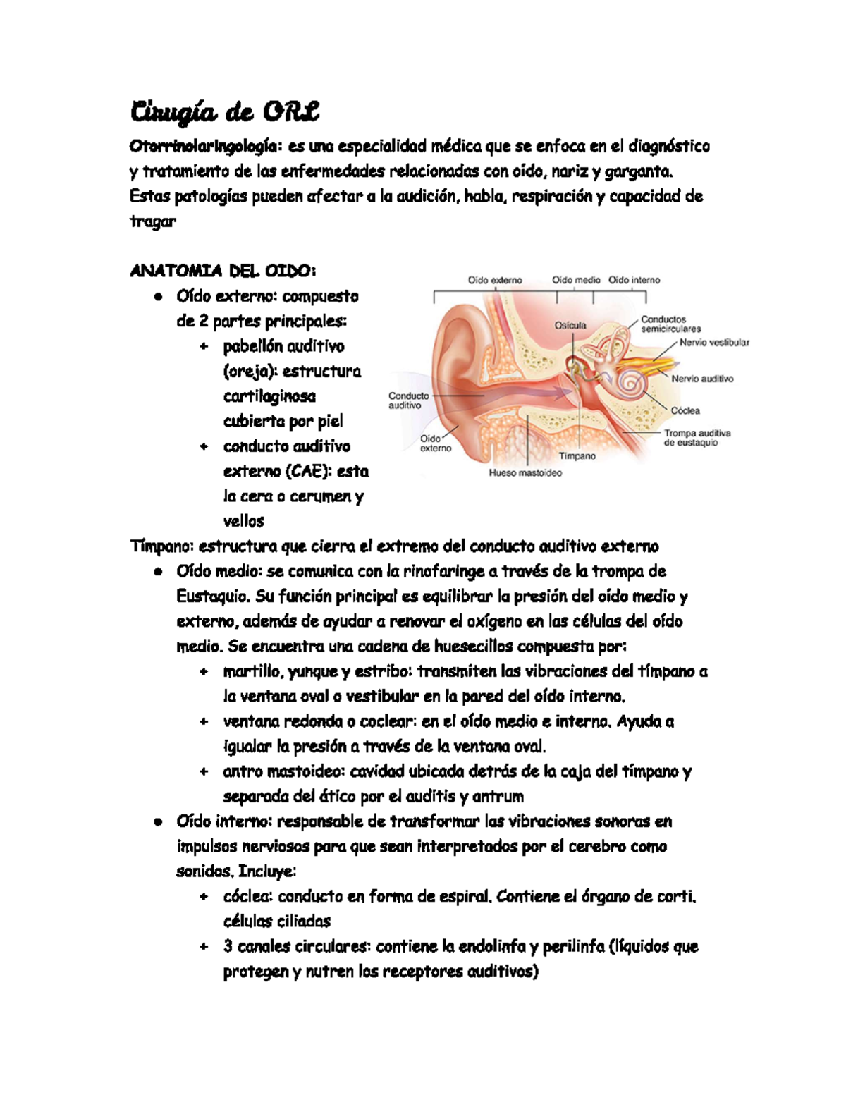 Cirugia de ORL M3 y 4 - Cinugía de ORL Otorrinolaringología: es una ...