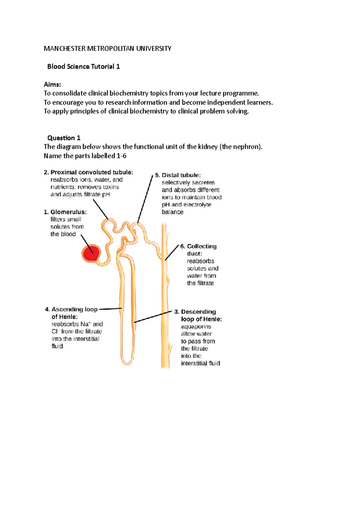 Blood Science Case Studies - MANCHESTER METROPOLITAN UNIVERSITY Blood ...