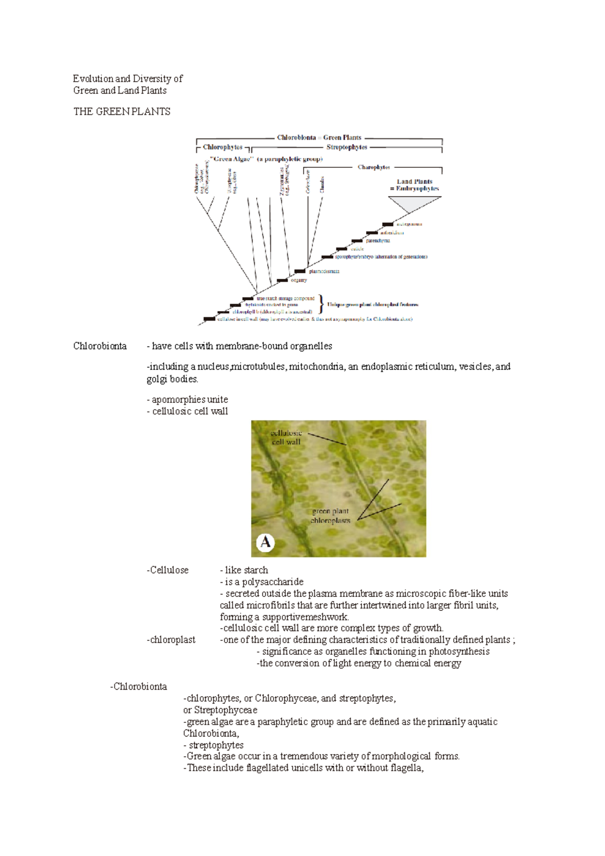 Syste lec-1 - Evolution and Diversity of Green and Land Plants THE ...