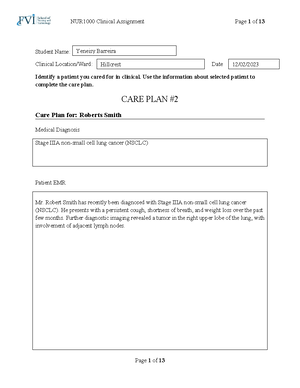 # 2 Care Plan Example for nursing students - Student Name