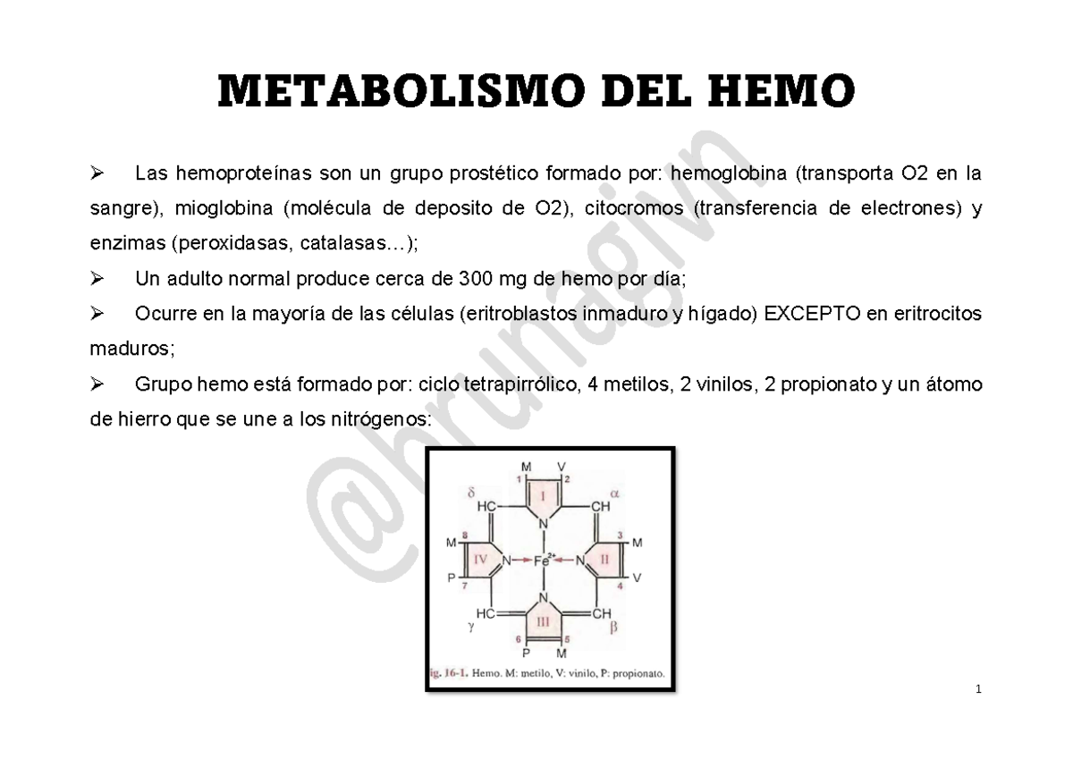 Grupo Hemo - METABOLISMO DEL HEMO Las hemoproteínas son un grupo ...