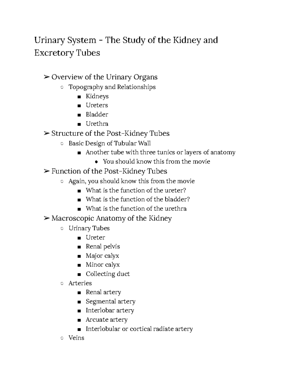 Anatomy Program Lecture Notes 7 - Urinary System - The Study of the ...