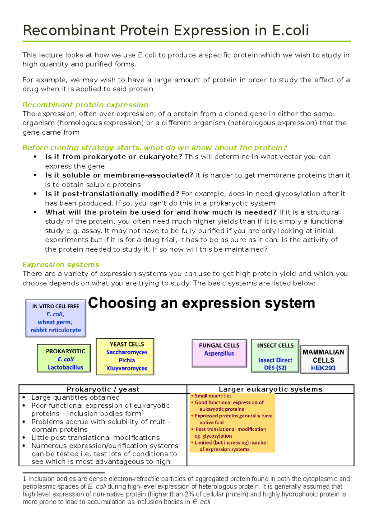 L6 - Recombinant Protein Expression in E coli - Recombinant Protein ...
