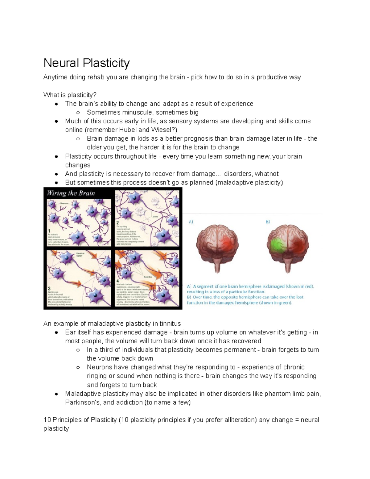 Human Neuropsychology - Neural Plasticity - Neural Plasticity Anytime ...