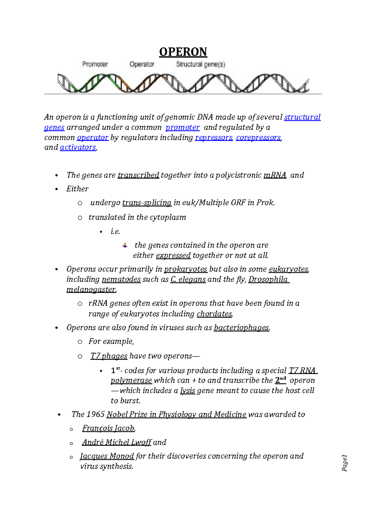 Lac operon - OPERON An operon is a functioning unit of genomic DNA made ...