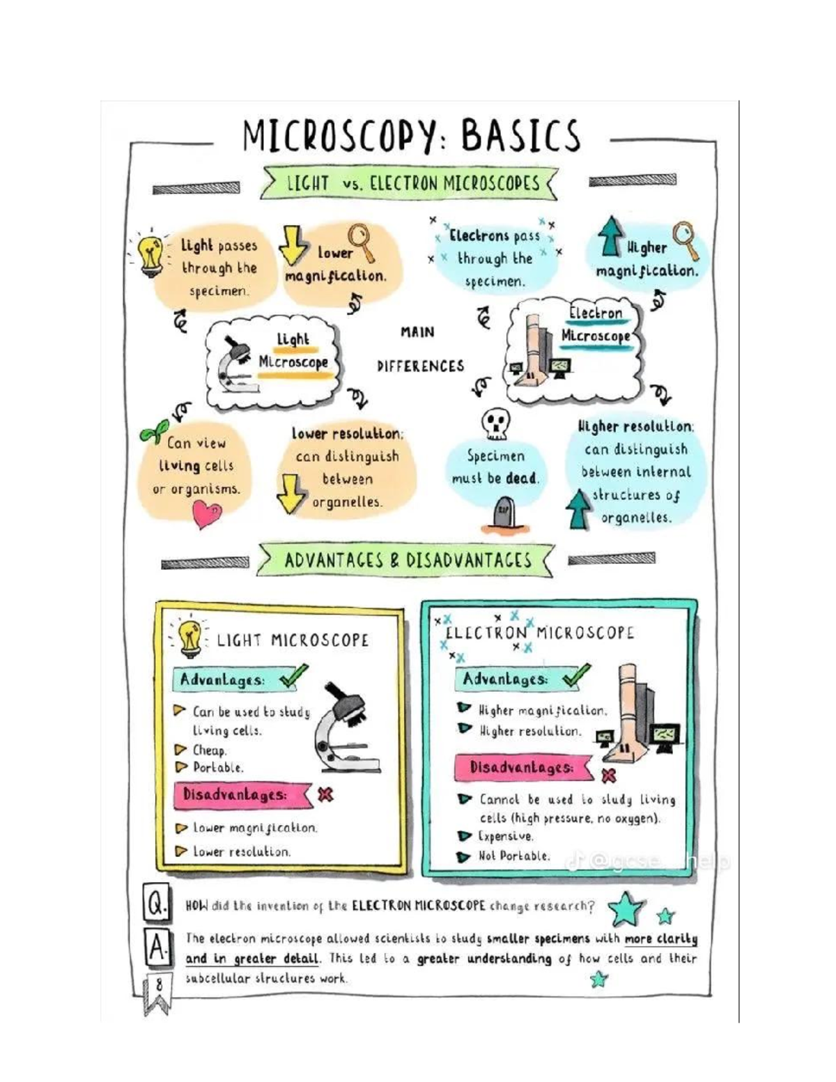 Microscope Note - Lecture Notes - BIOL1020U - Studocu