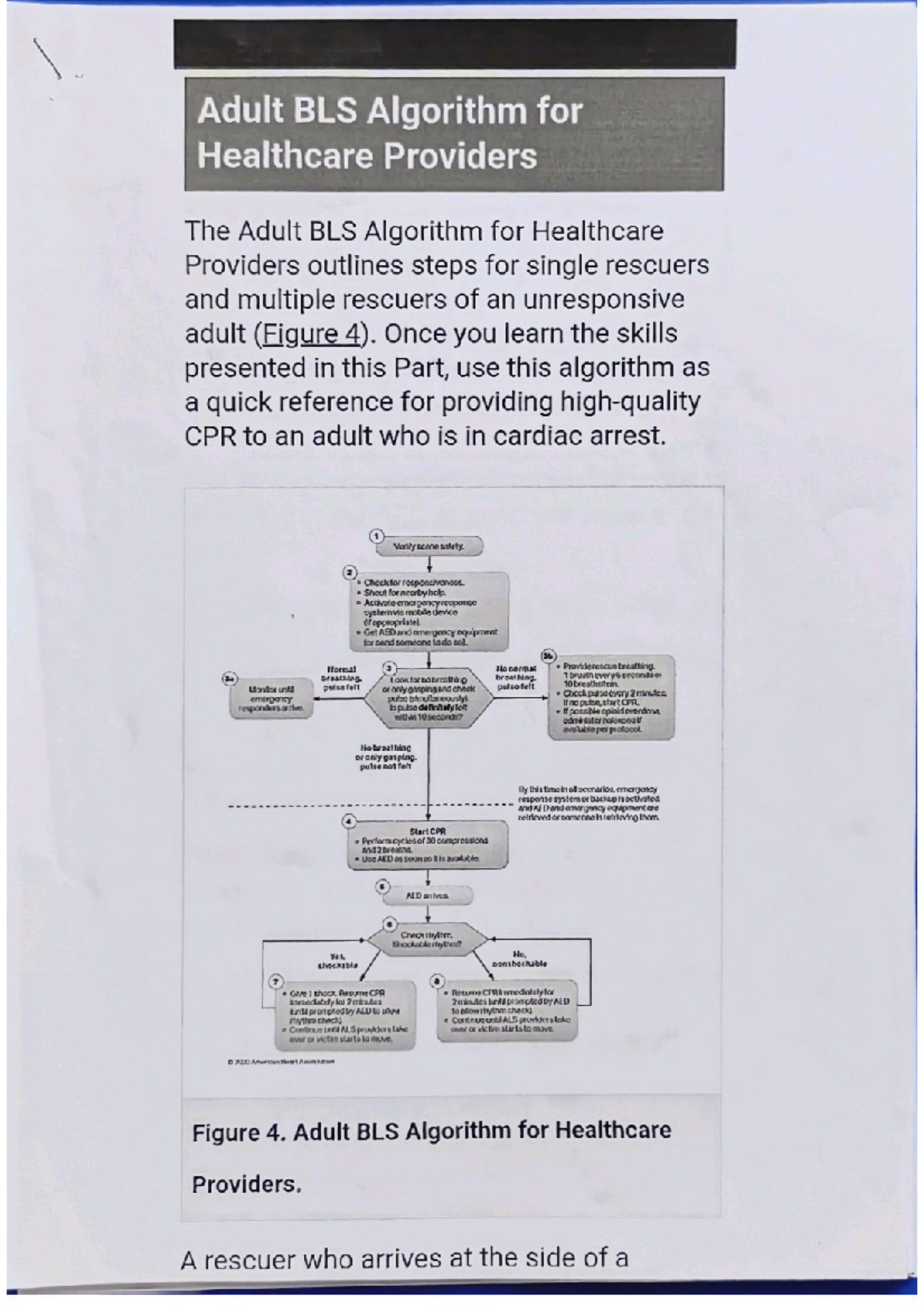 Adult bls - Personality Development Through Life Enlightenment Skills ...