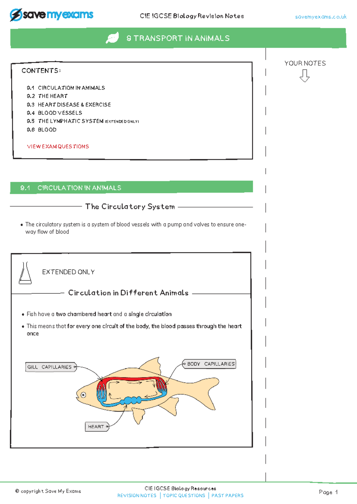 CIE- Igcse-Biology-9-RN Sample - 2 ORGANISATION OF THE ORGANISM ...