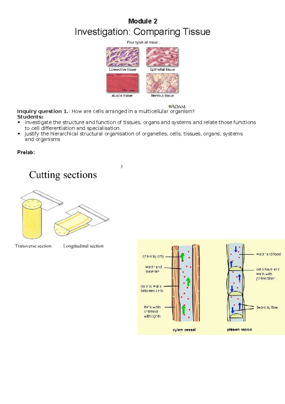 06 Investigation 2 Comparing tissues - Module 2 Investigation ...