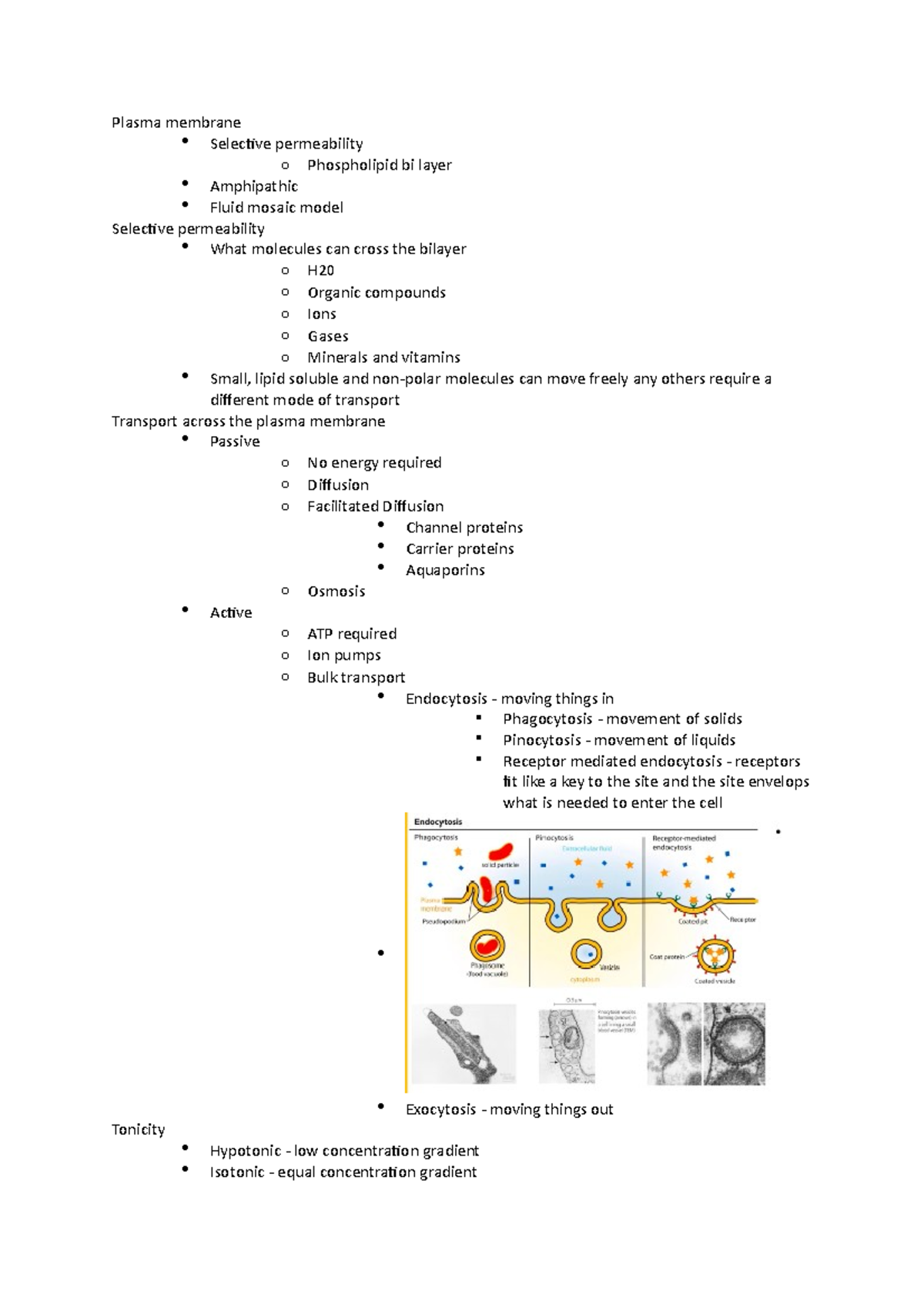 Plasma membrane - Cell biology - PAR102 - USC - Studocu