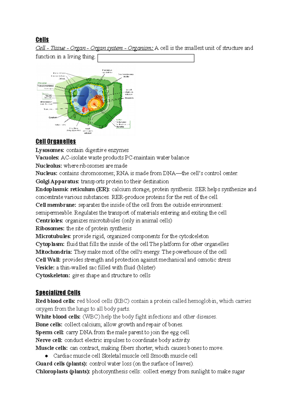 Biology Study Guide - Cells Cell - Tissue - Organ - Organ system ...