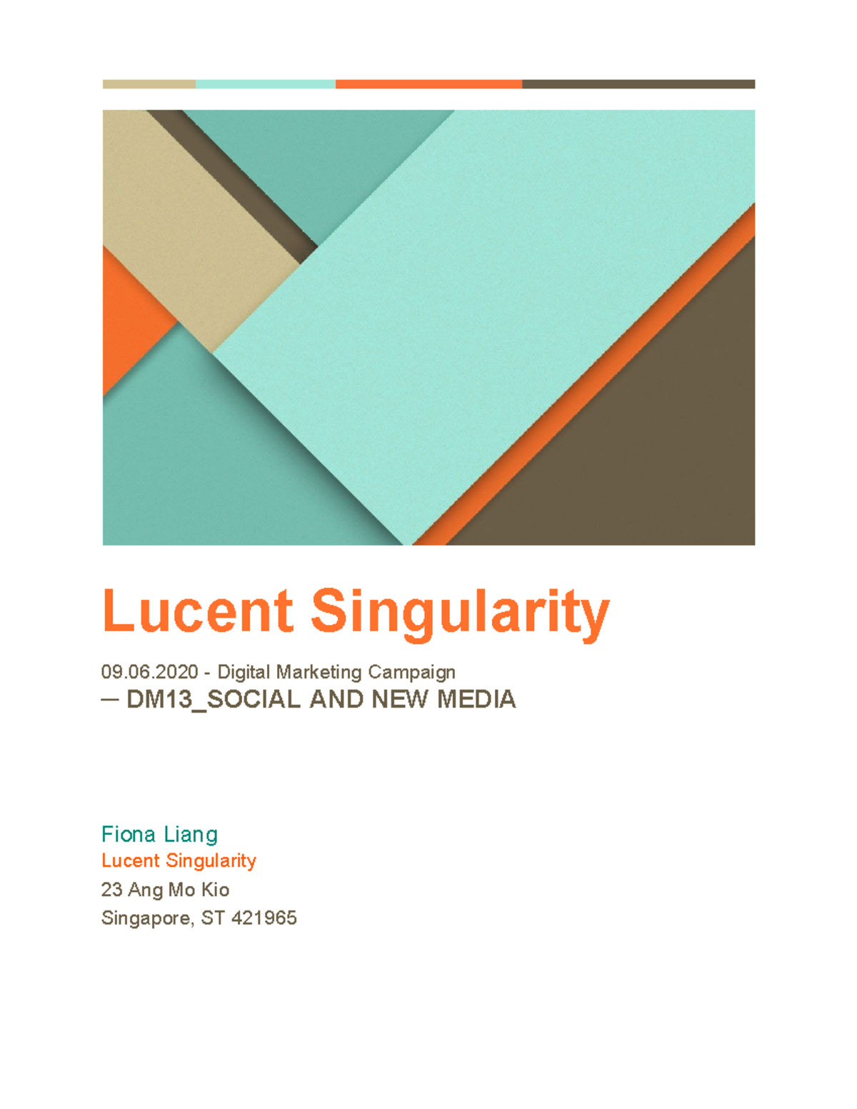 SNW Primer and Report - Fiona DM13 - Lucent Singularity 09.06 - Digital Marketing Campaign ...