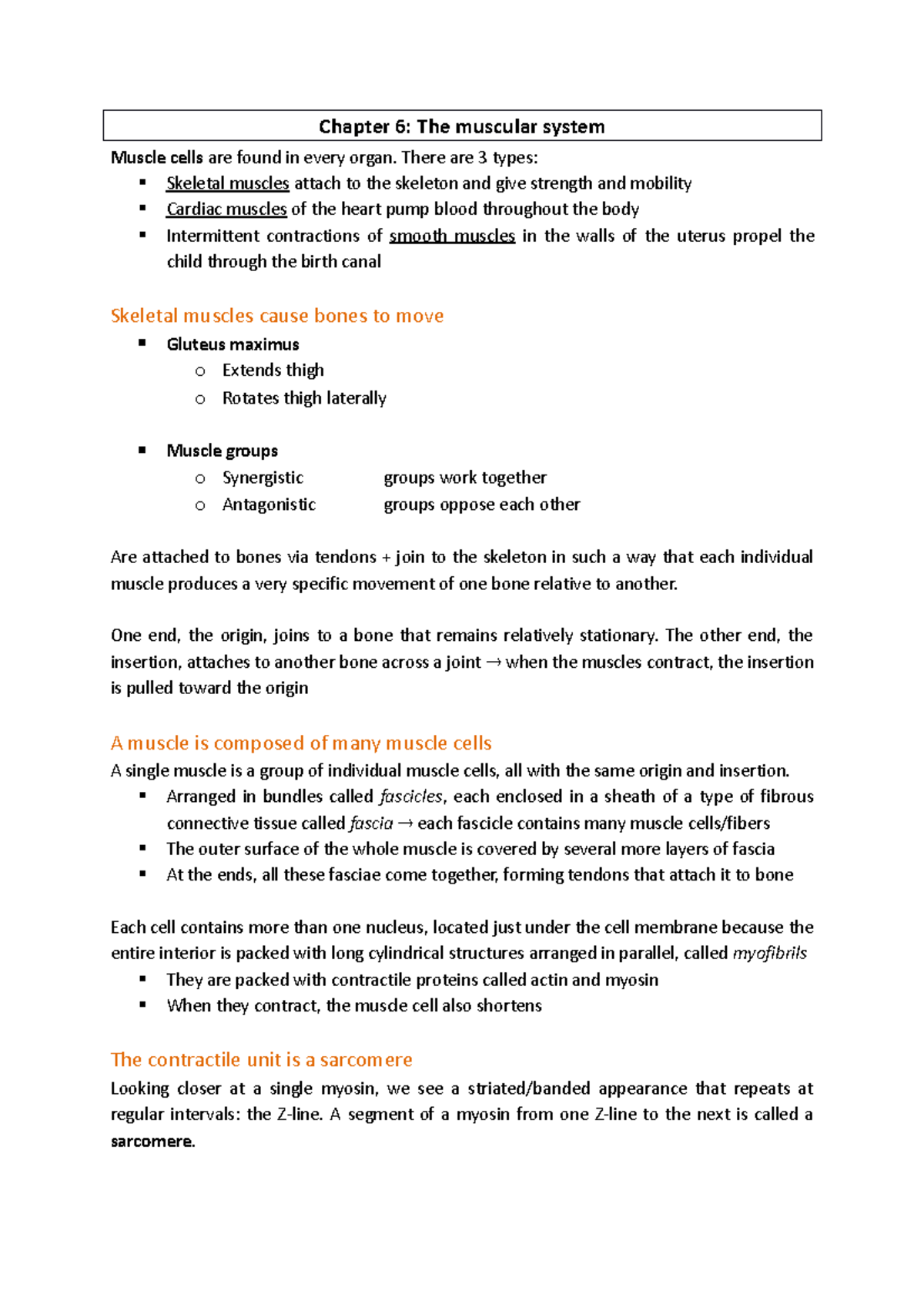 chapter 6: the skeletal system - Chapter 6: The muscular system Muscle ...