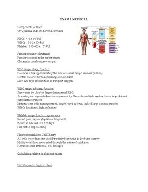 Defects of protoporphyrin synthesis - BMS 644: Clinical Hematology ...