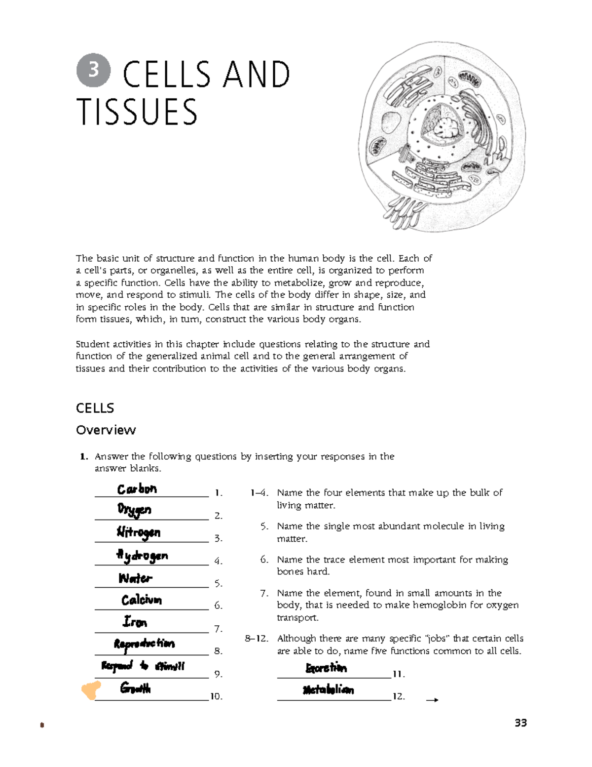 Activity about cells and tissues of human body - CELLS AND TISSUES 3 ...