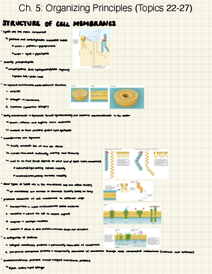 Ch 2: Molecules of Life (Topics 9-12) - Ch. 2: The Molecules of Life ...