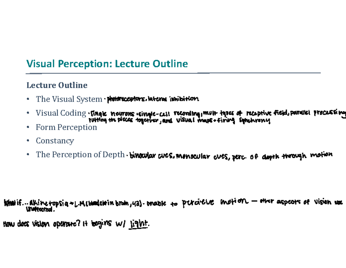 Cognitive Psychology Chapter 3 Notes - Visual Perception: Lecture ...