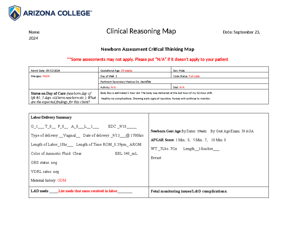 Care Map- Newborn guide - 2024 Newborn Assessment Critical Thinking Map ...