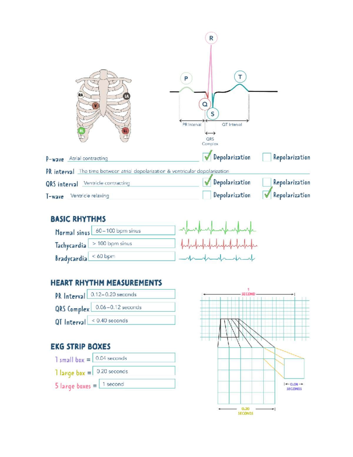 EKG basics - R P T RA Q S PR Interval QT Interval RL QRS Complex Atrial ...