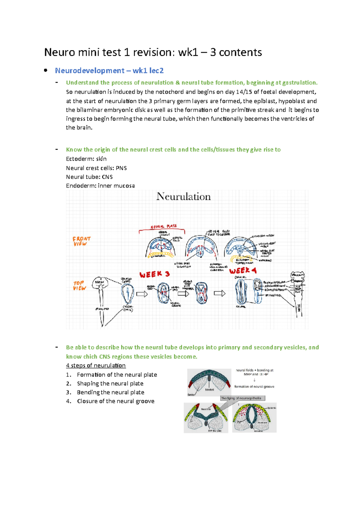 Neuro mini test 2 revision - Neuro mini test 1 revision: wk1 – 3 ...