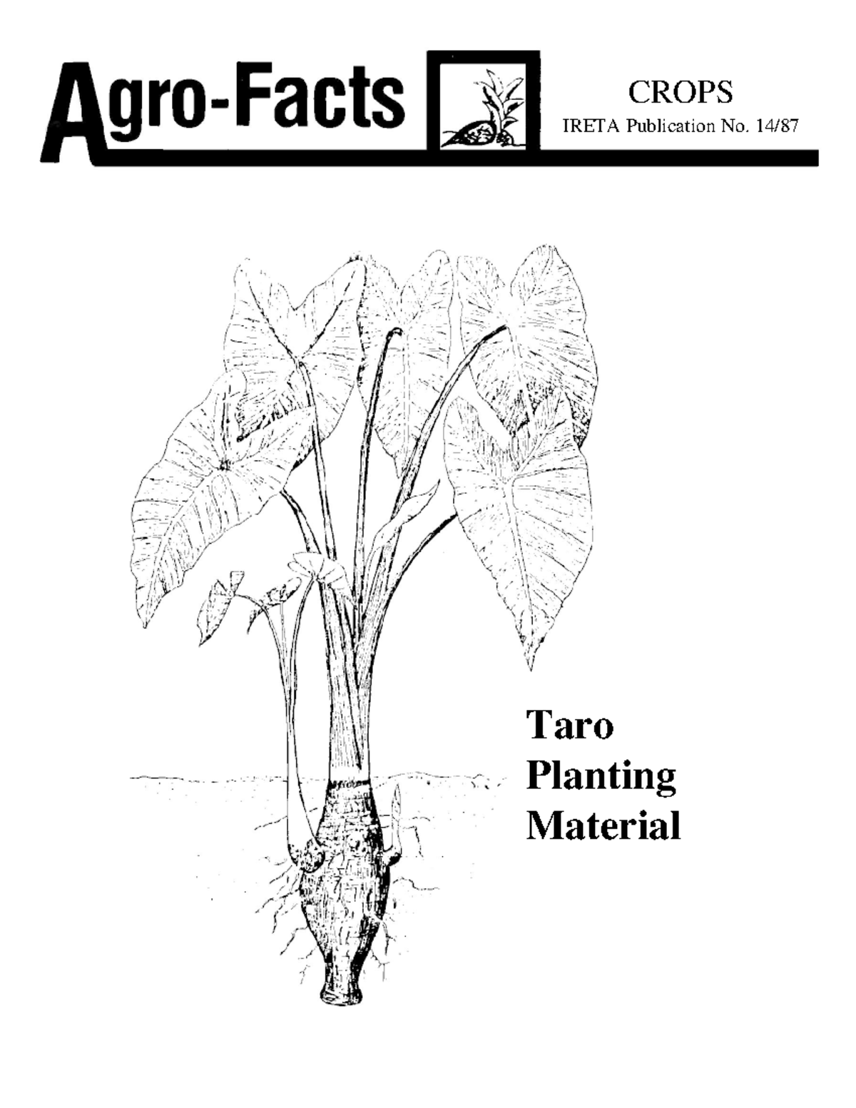 Taro planting - Kinime - Taro Planting Material CROPS IRETA Publication ...