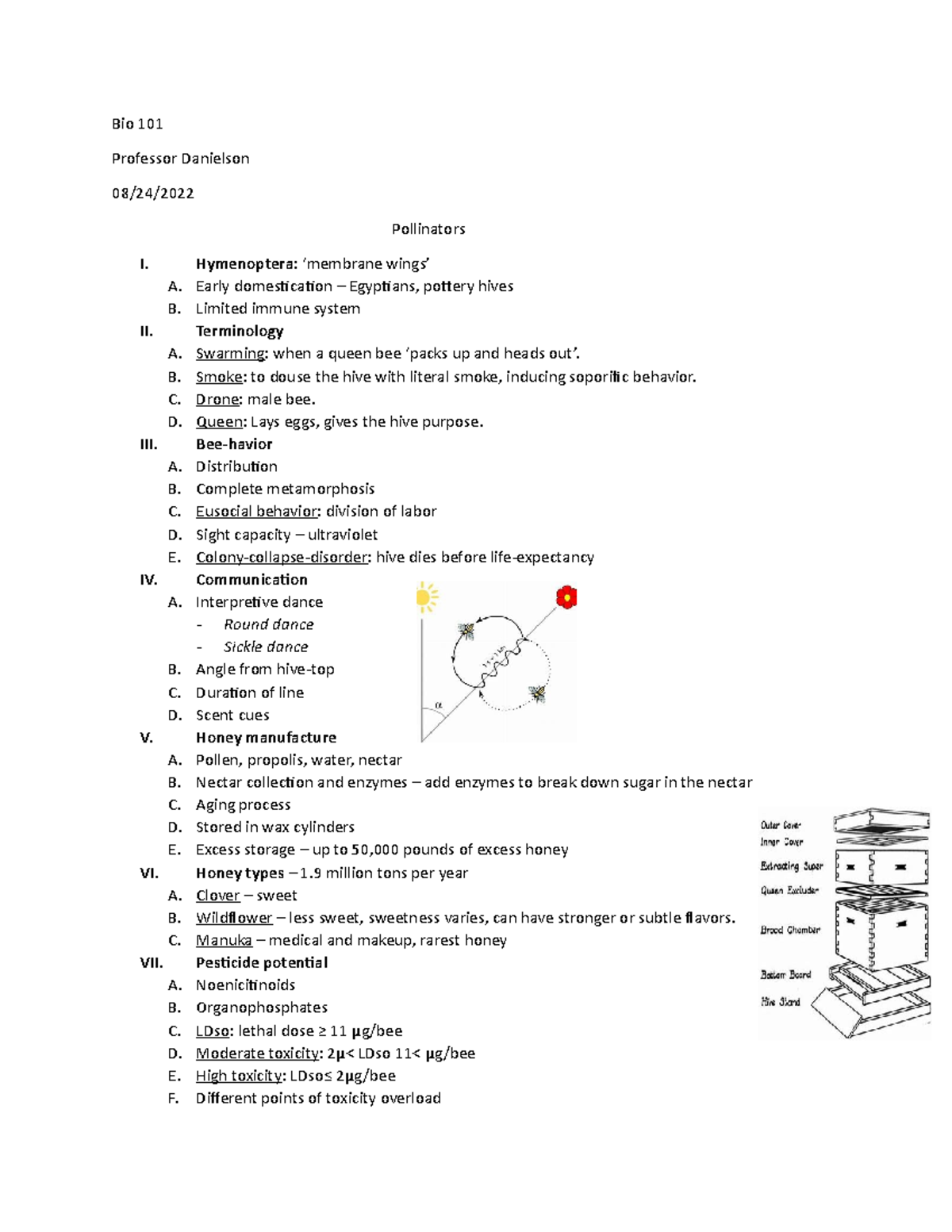 Pollinators bio101 - These lecture notes cover bee terminology ...