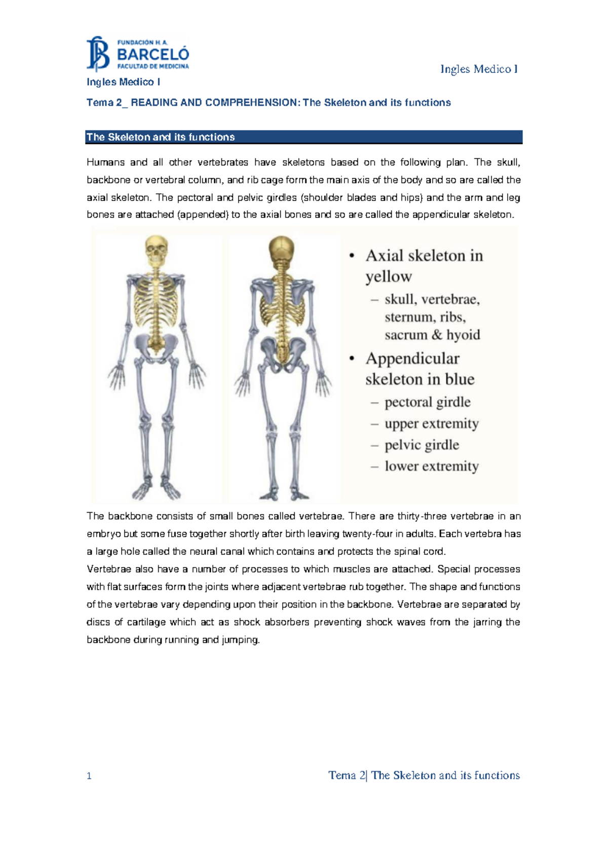 Ingles Medico I clase 2 Skeleton and its functions 2023 - Ingles Medico ...