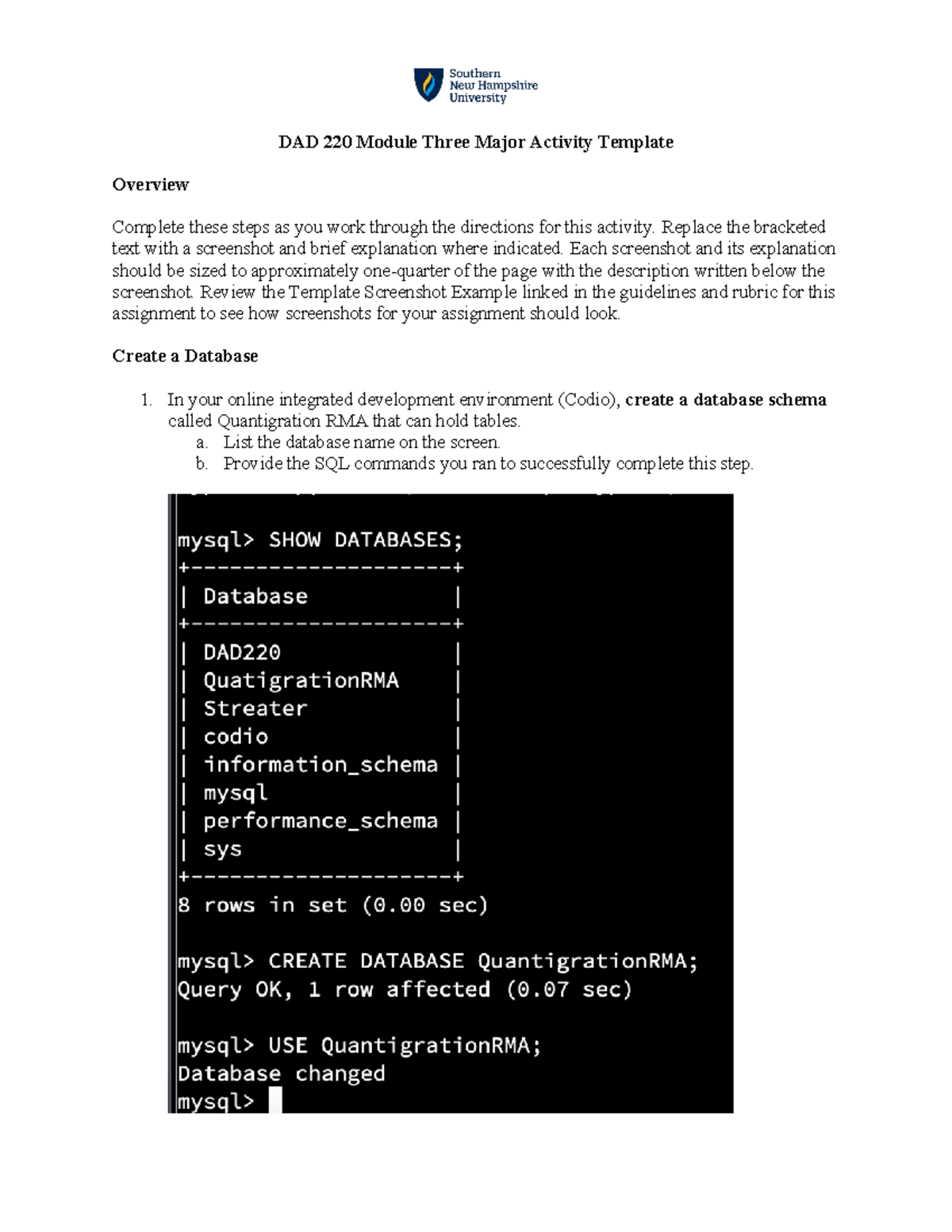 DAD220Module Three Major Activity Template - DAD 220 Module Three Major Activity Template ...