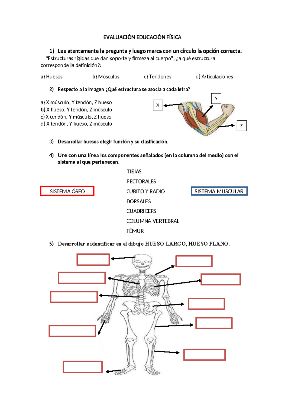 Evaluación TEMA 1 - asdads - EVALUACIÓN EDUCACIÓN FÍSICA 1) Lee ...
