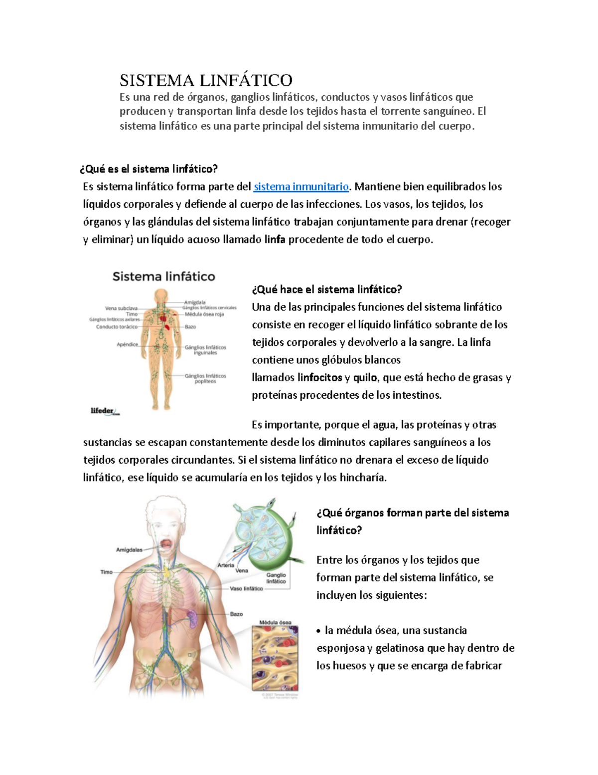 Sistema Linfático - SISTEMA LINFÁTICO Es una red de órganos, ganglios linfáticos, conductos y ...