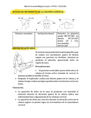 Daniells - pruebas funcionales musculares - La tercera edición de ...