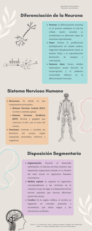 PEX Physio Ex Exercise 7 Activity 1 - PhysioEx Lab Report Exercise 7 ...
