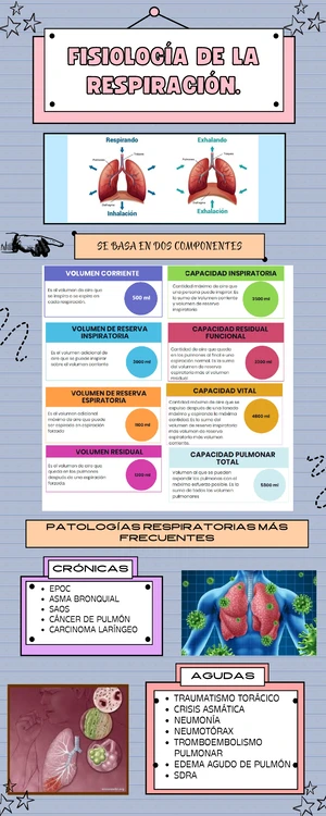 Studocu - Resúmenes, apuntes y preparación de exámenes gratis