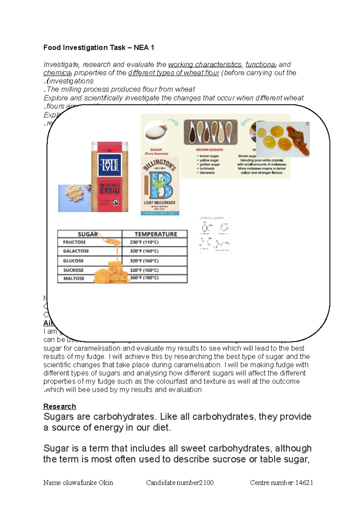 NEA 1 blank template 2 - Food Investigation Task – NEA 1 Investigate ...