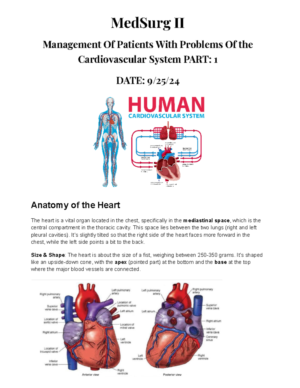 Med Surg II Management Of Patients With Problems Of the Cardiovascular ...
