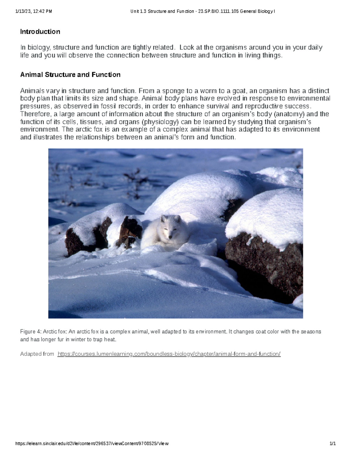 Unit 1.3 Structure and Function - 23.SP.BIO.1111.105 General Biology I ...